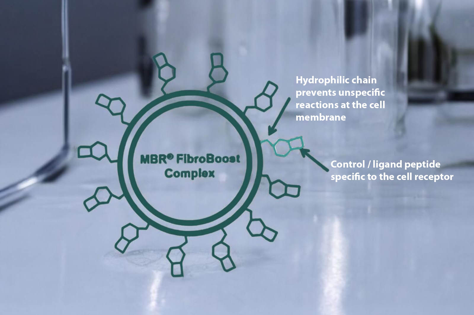 Pure Perfection 100 N®: Rejuvenate Skin with FibroBoost Complex by MBR ...